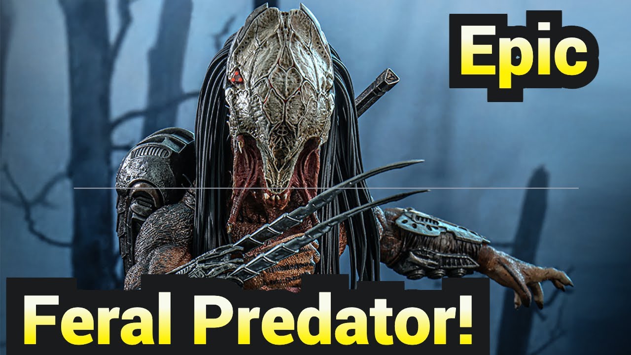 Epic Predator- The Feral Predator Explained! - YouTube
