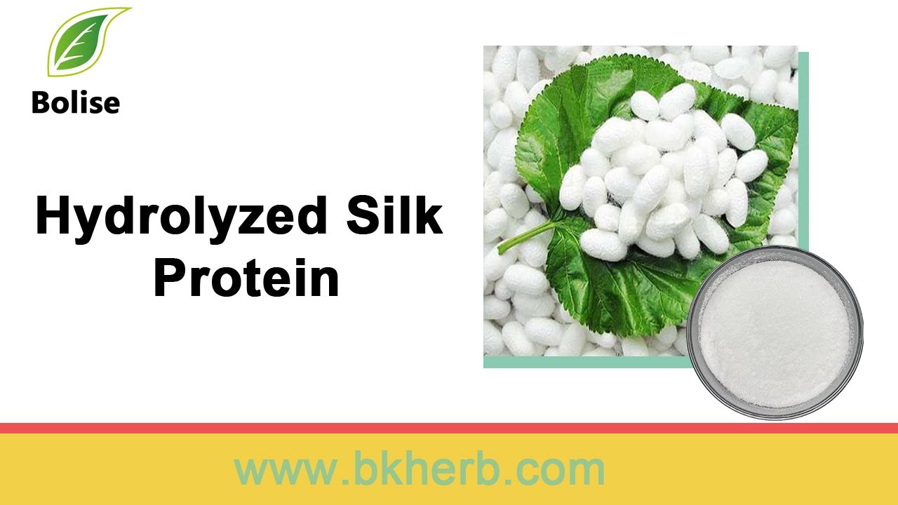 What is Hydrolyzed Silk Protein - YouTube