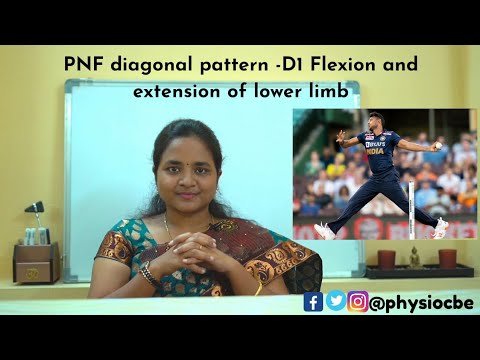 PNF - Diagonal pattern -D2 Flexion and Extension of Lower Limb - YouTube
