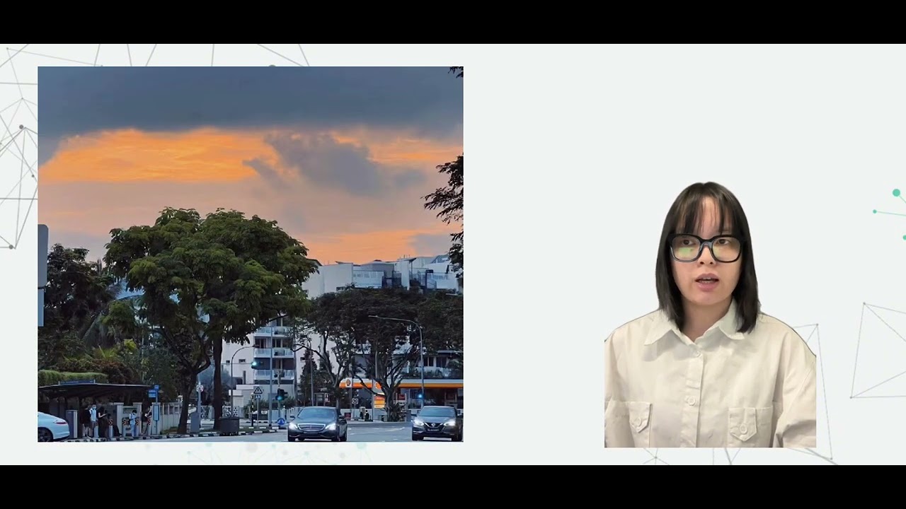 MGMT3029 EYBM Career Passport Reflective Video (Li Shanni 20652151 ...