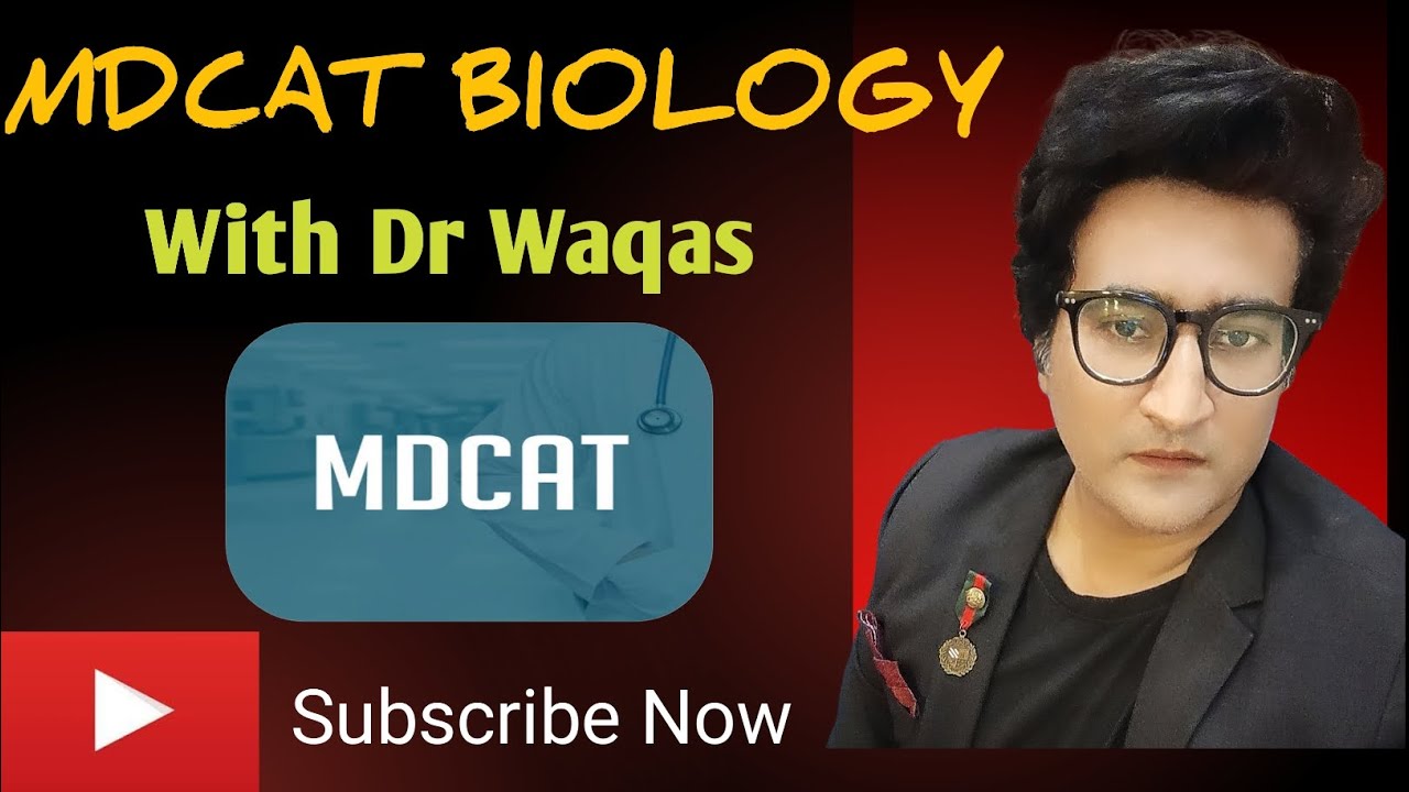 Other Names Of Organelles YouTube other-names-of-organelles-youtube