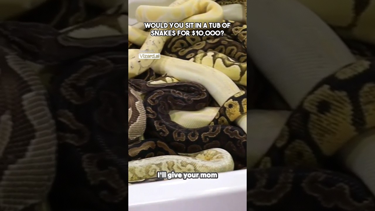 MR.BEAST SNAKE VIDEO - YouTube