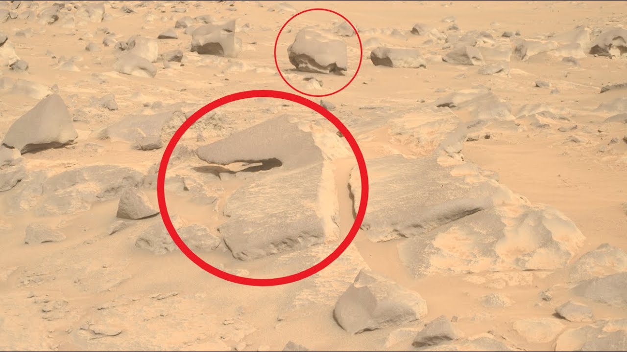 Interesting Rocks on the Mars Spotted by NASA's Perseverance Rover on ...