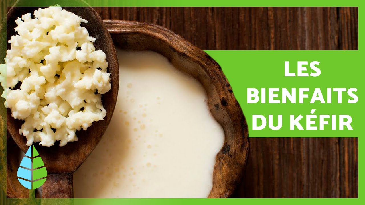 Les BIENFAITS du KÉFIR sur la santé 🥛 (Propriétés, Comment le Préparer ...