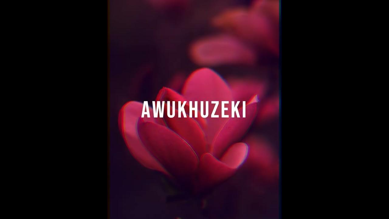 Awukhuzeki (DJ Stokie, Omit ST, Sobzeen, Zee_nhle ) - Melody - YouTube