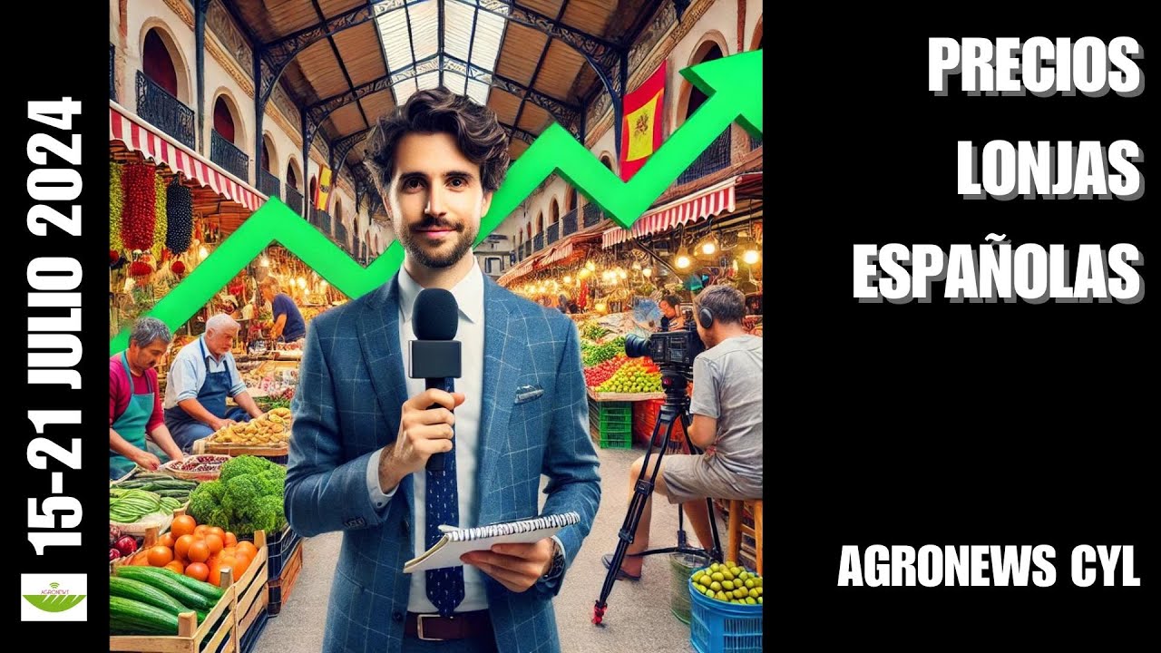 Lonjas españolas: arranca la cotización del trigo y siguen a la baja ...