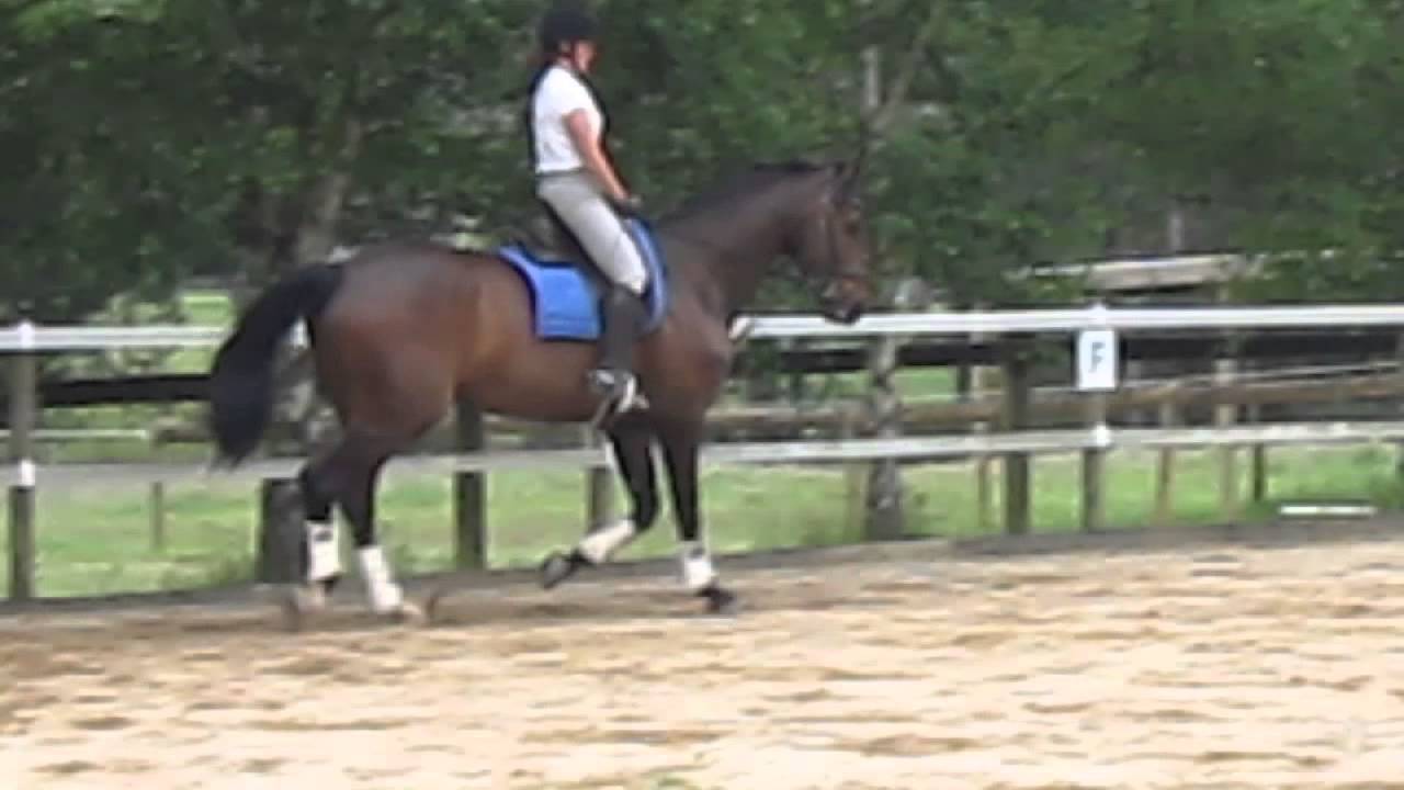 kelly and roddy 2 25/10/14 - YouTube