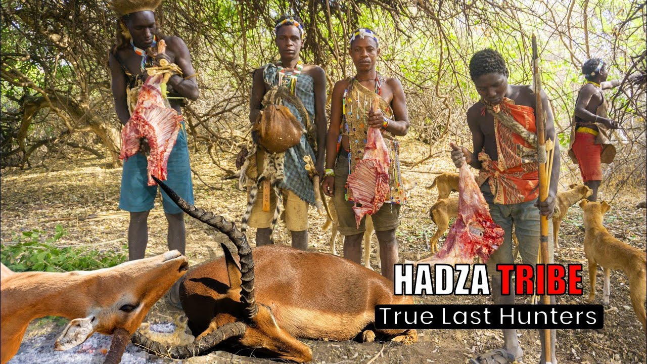What Happen When They Return Home from Hunting,Hadzabe Hunter Gatherer ...