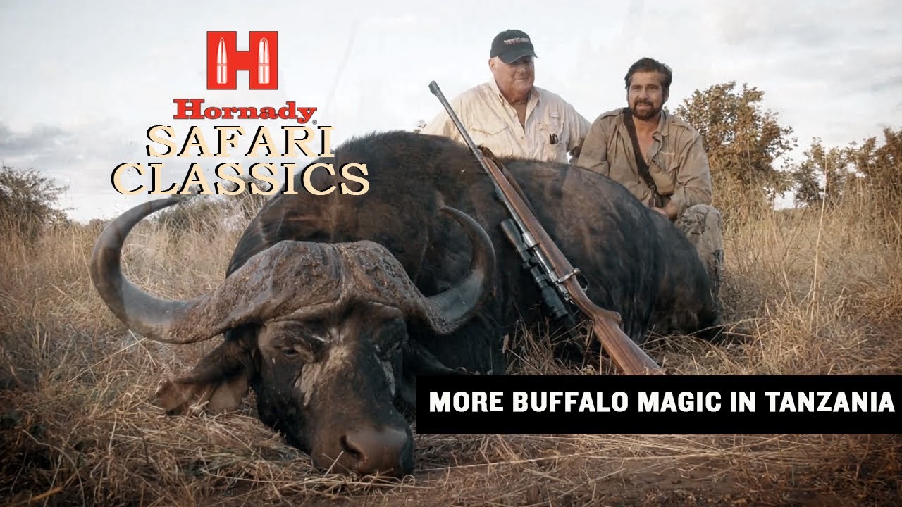 More Cape Buffalo Magic in Tanzania - YouTube