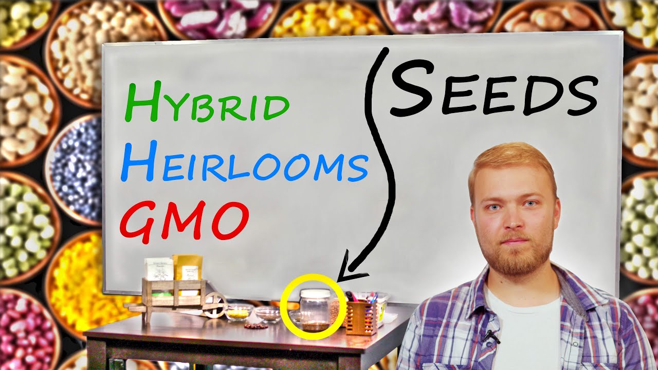 Seed Science: Uncover the Truth Behind Heirlooms, GMO, and Hybrid Seeds ...
