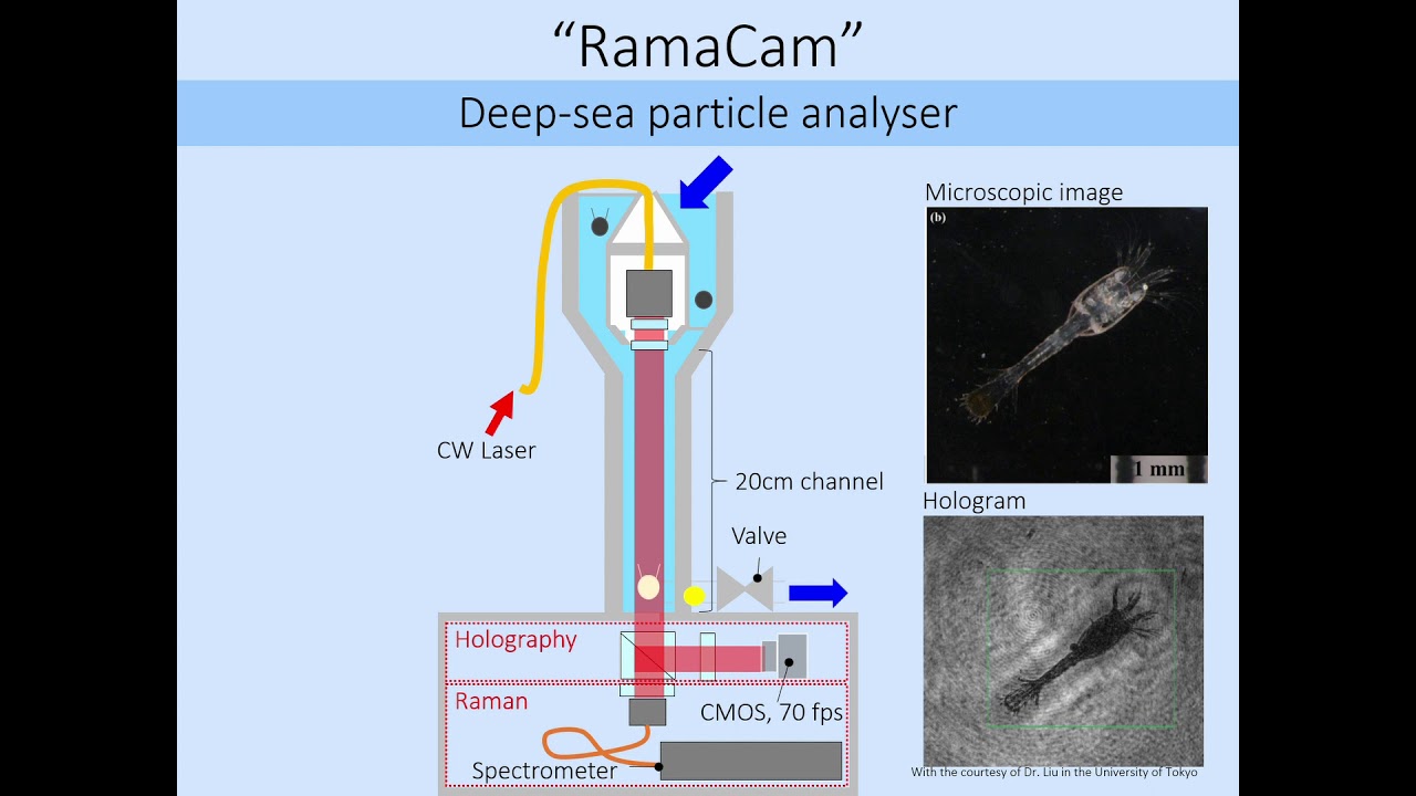 -RamaCam- deep-sea particle analyser by integrating holography and ...
