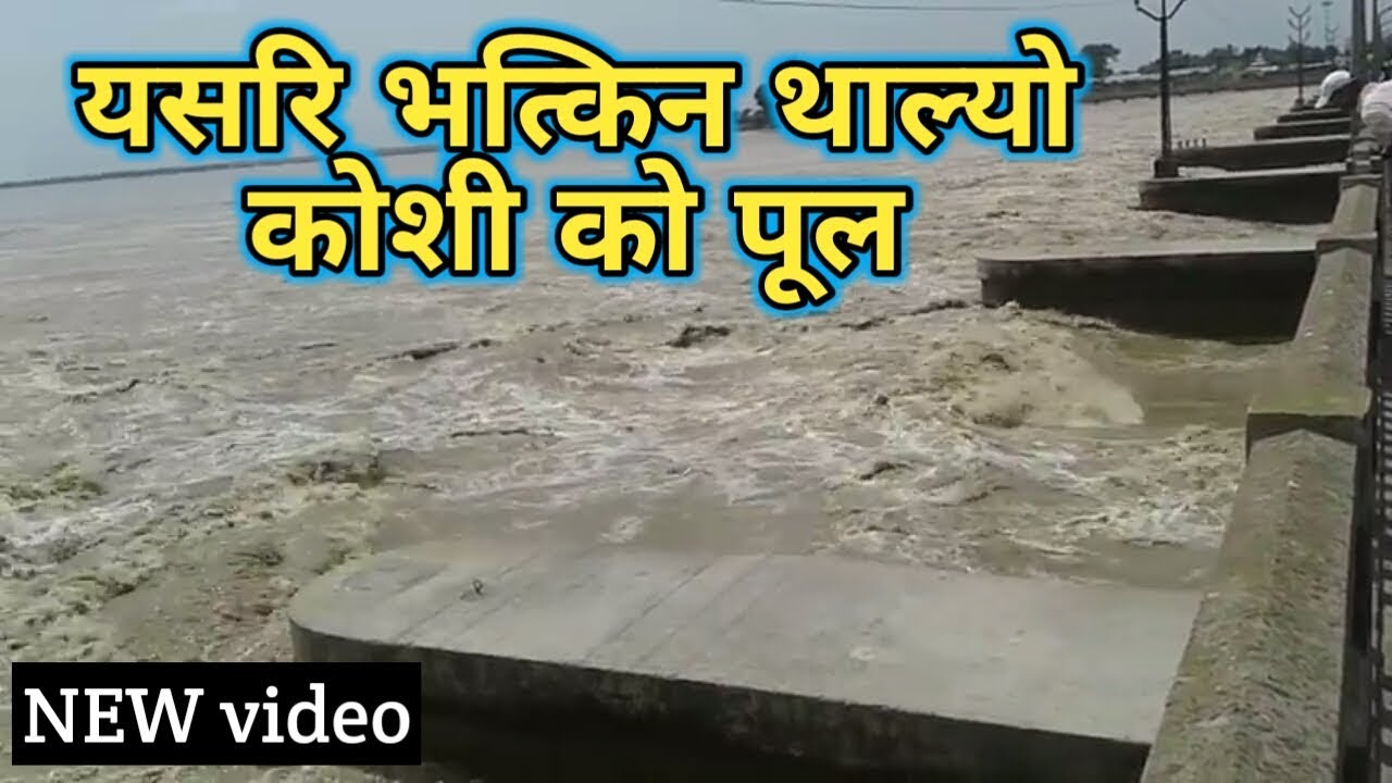 KOSHI BARRAGE STARTED DESTRUCTION! / Heavy flood in koshi barrage 2017 ...