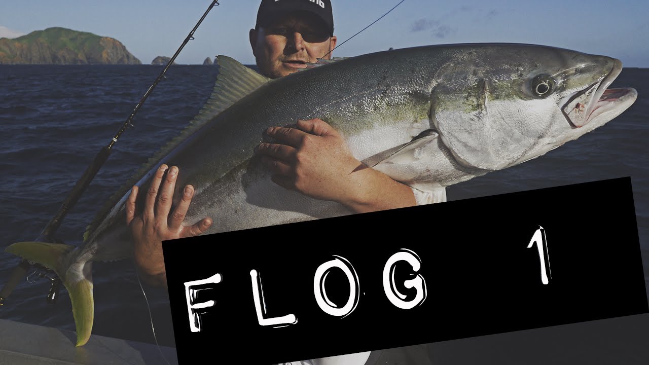 Whats a FLOG! - YouTube