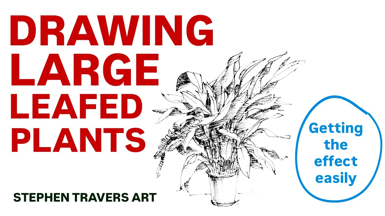 Easy Method to Draw Large-Leafed Foliage - YouTube
