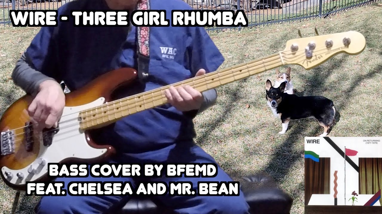 Wire - Three Girl Rhumba (bass cover with "wired" corgis!) - YouTube