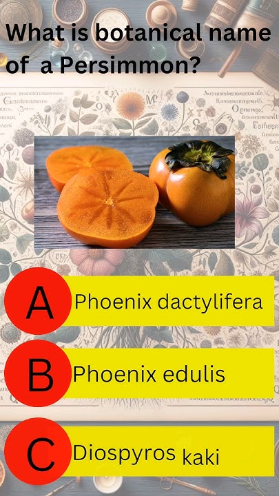 Botanical Name Genius: Can You Guess These Plant Names? #viral #shorts ...