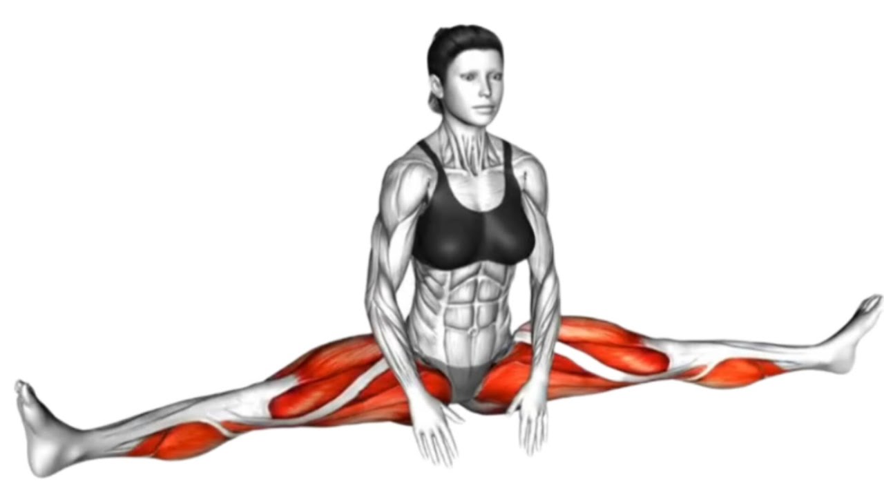 full body stretching video | 5 best stretching exercise - YouTube