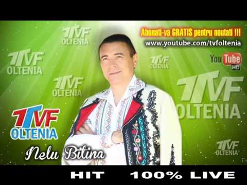 Nelu BITINA - Frunzulita foi ca gheata LIVE - Hitul anului - YouTube