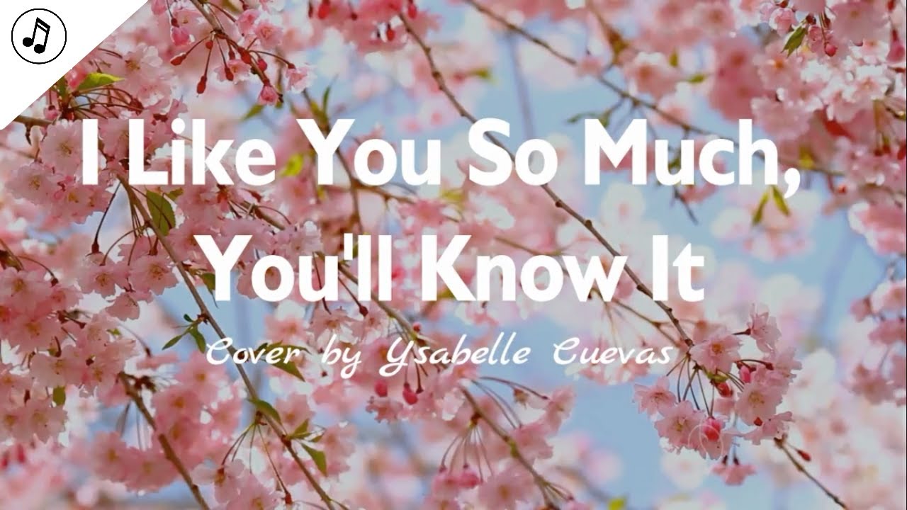 I Like You So Much, You’ll Know It (我多喜欢你，你会知道) - A Love So Beautiful ...