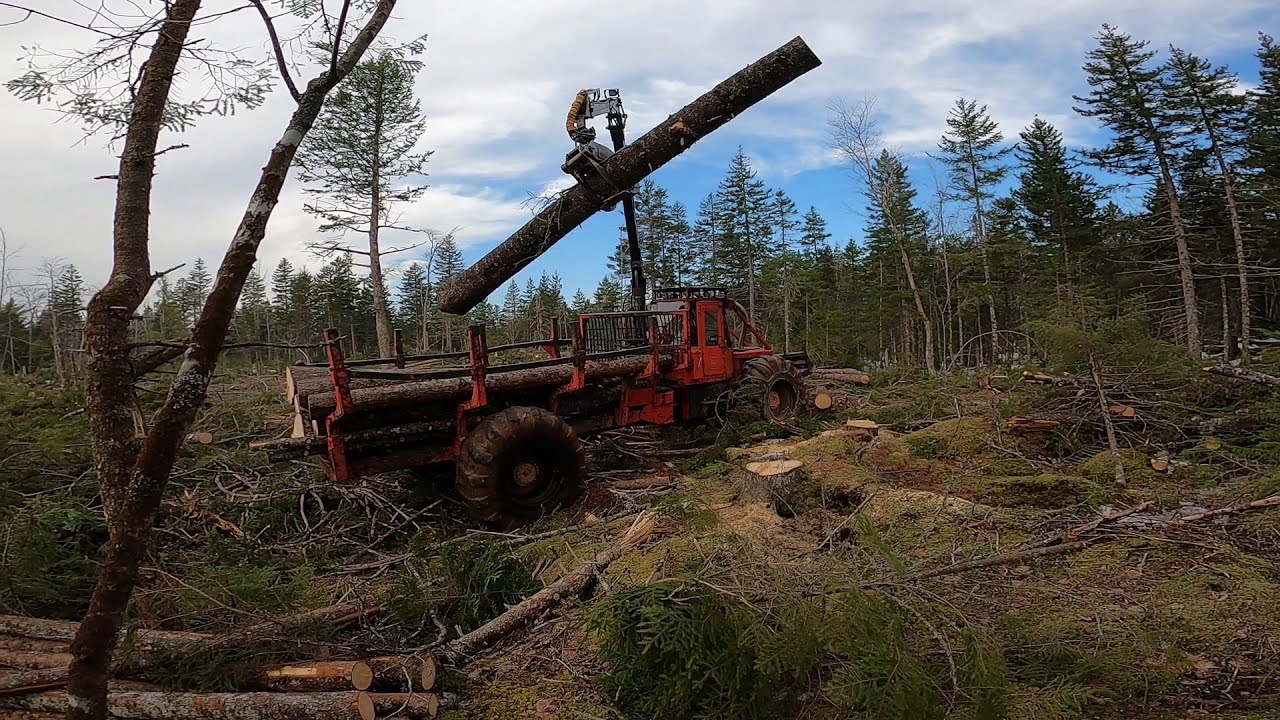 TIMBERJACK PORTER 230 HAULING HUGE LOAD START TO FINISH!! GOOD OPERATOR ...