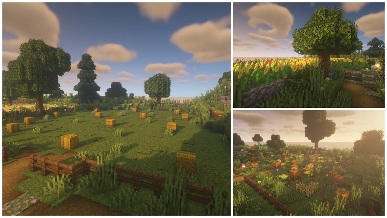 Minecraft | How to Make Your Fields Look Better - YouTube