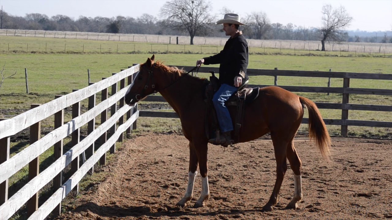 Beginning Stages of the Side Pass - YouTube