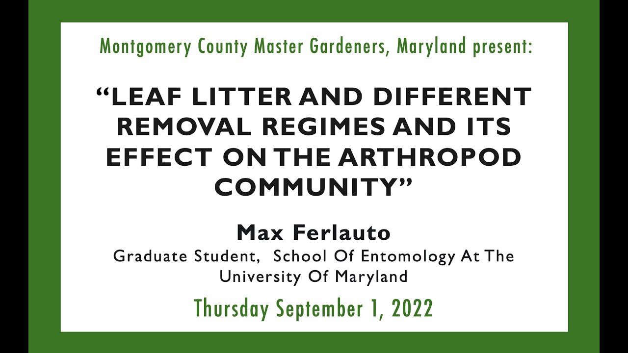 MCMG Presentation - September 2022 - YouTube