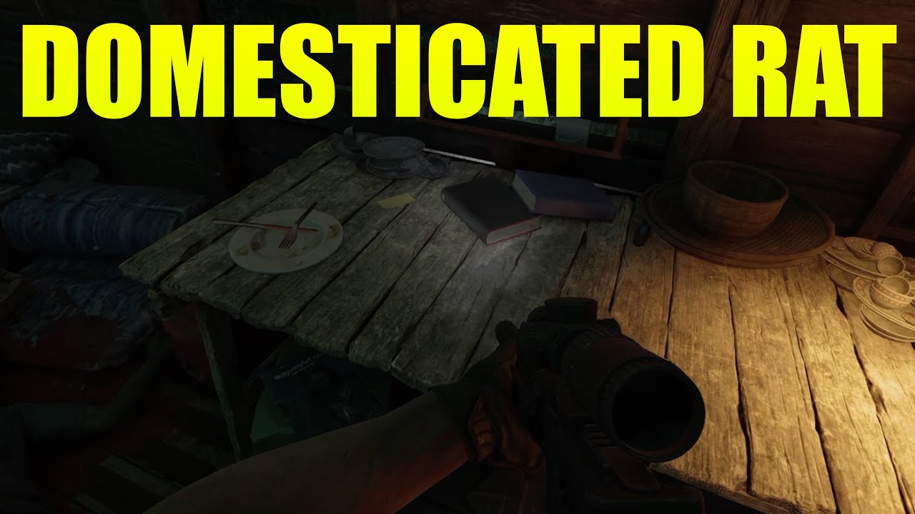 Domesticated Rat | GUIDE | Gray Zone Warfare | Mithras - YouTube