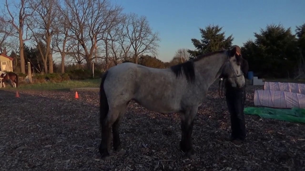 Jennifer Hinkel & Annabelle Halter - YouTube