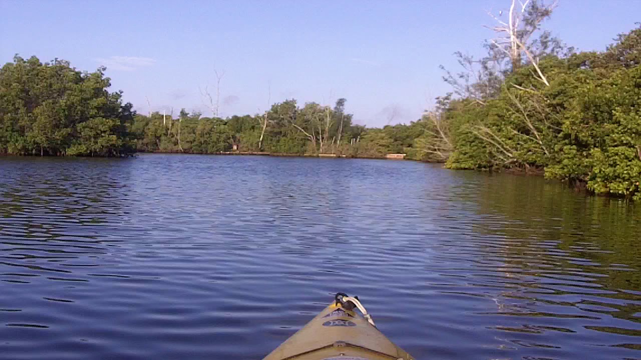 Slow TV - Kayaking Mangroves - Siesta Key, Florida (2011) - YouTube