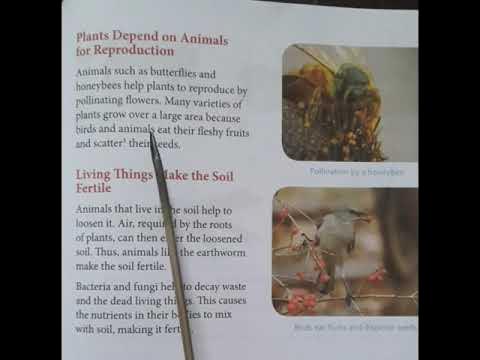 5th Std Science, Lesson-12 Interdependence in nature (Part-2) - YouTube