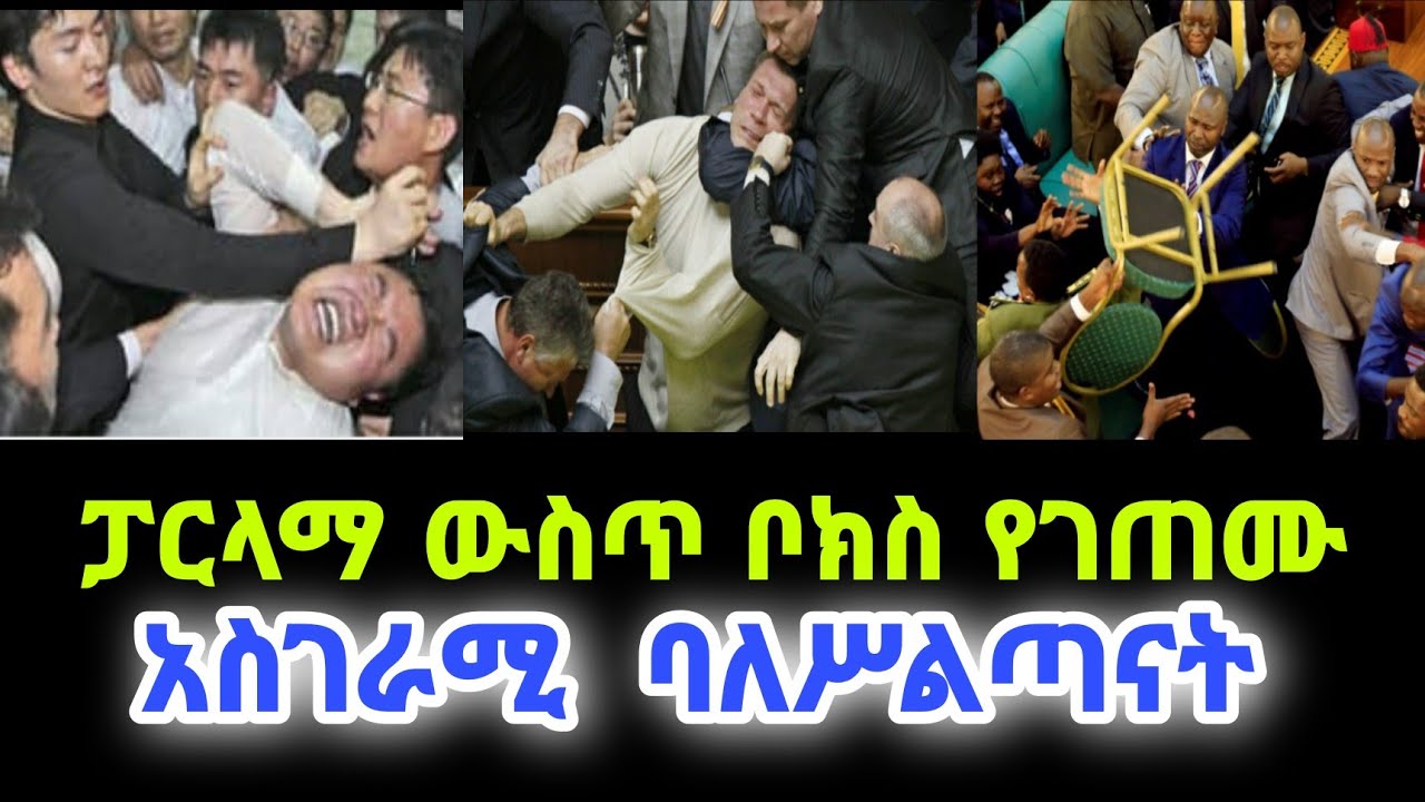 @ፓርላማ ውስጥ የተደባደቡ አስገራሚ ባለሥልጣናት@ Parliament Brawl @ Parliament - YouTube