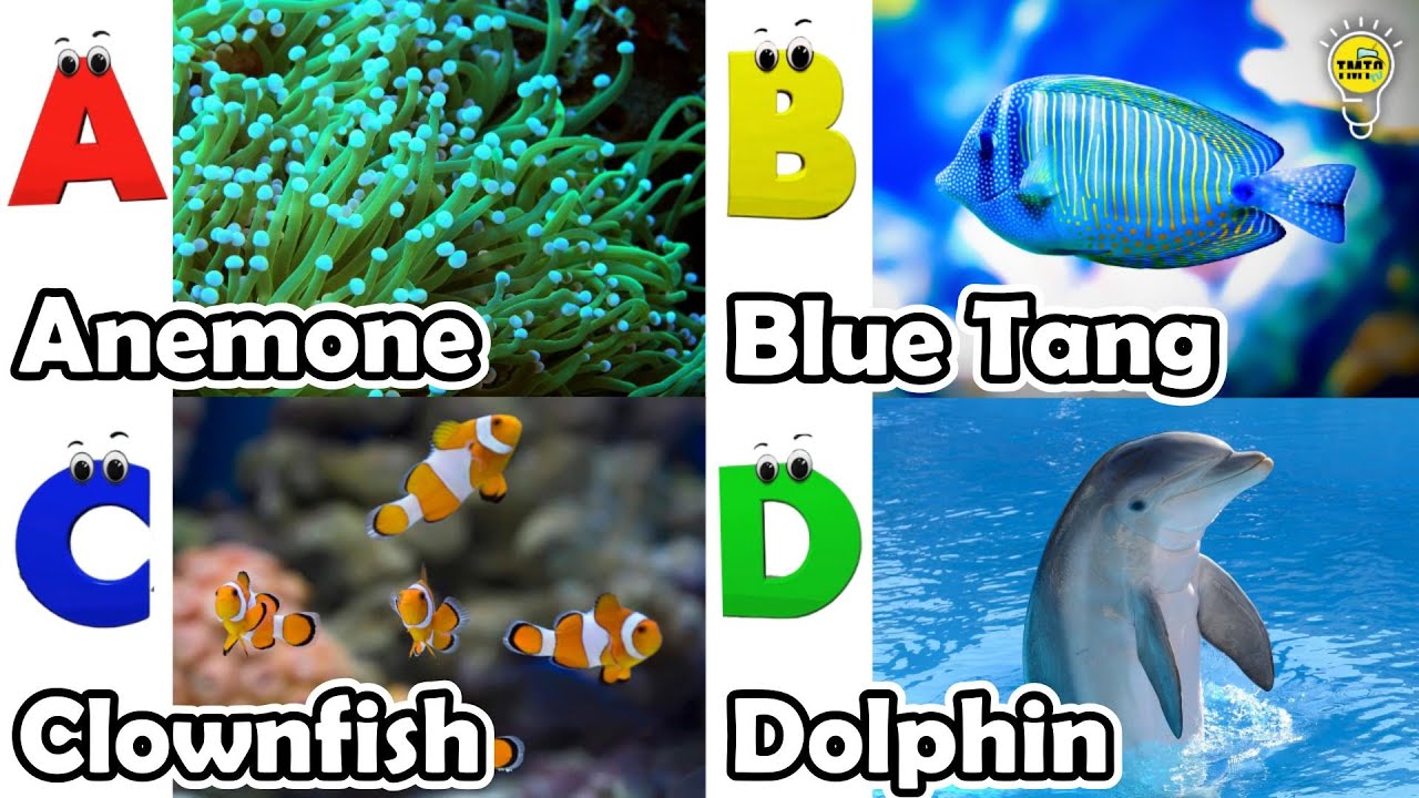 ABC phonics animals | ABC Sea Animals song | English and Animals for ...