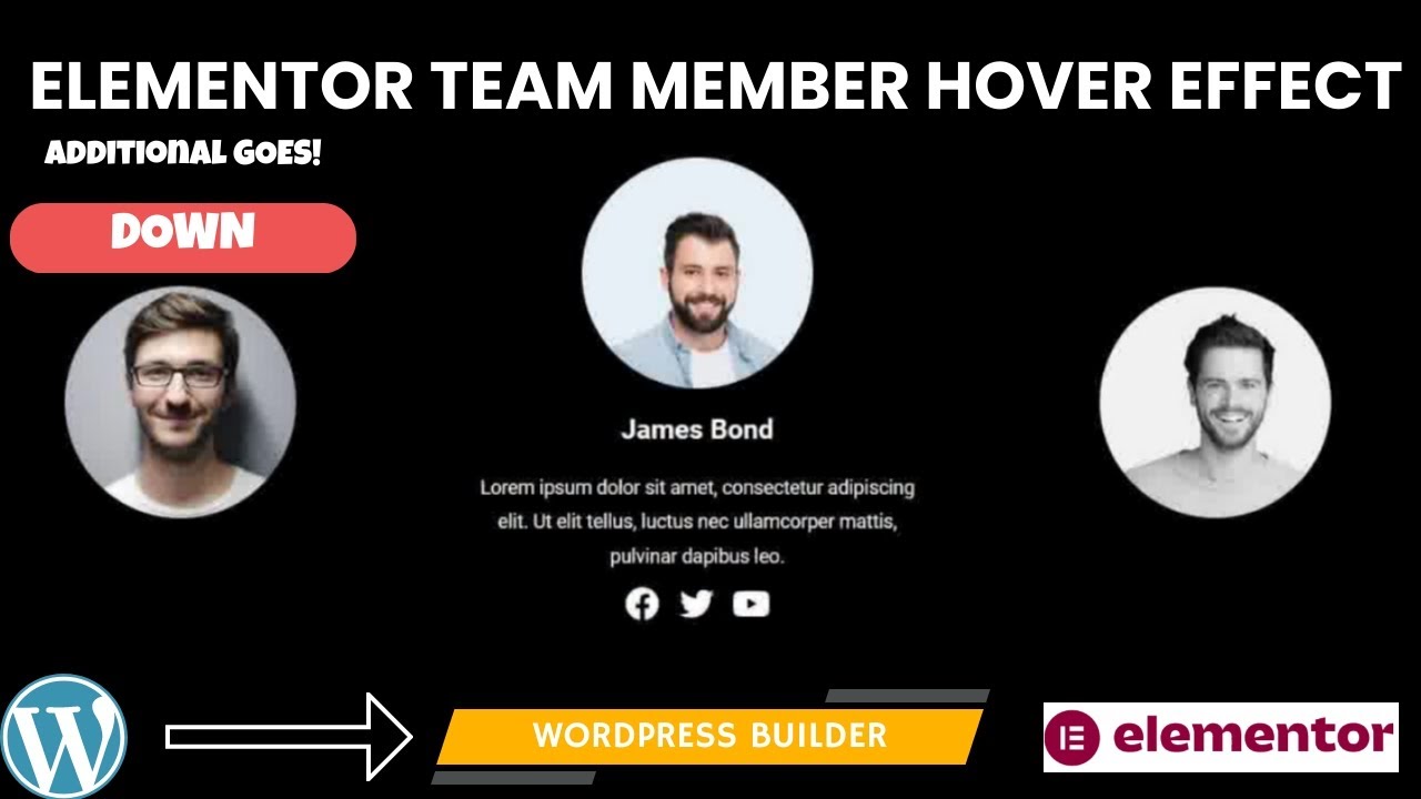 How To Create Elementor Custom Team Section Additional Information Slide Down WordPress how-to-create-elementor-custom-team-section-additional-information-slide-down-wordpress