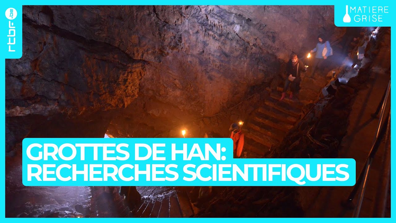 Grottes de Han : les recherches scientifiques derrière les activités ...