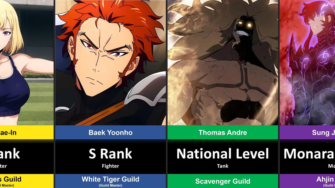 RANKS OF ALL HUNTERS IN SOLO LEVELING | STRONGEST HUNTERS IN SOLO ...