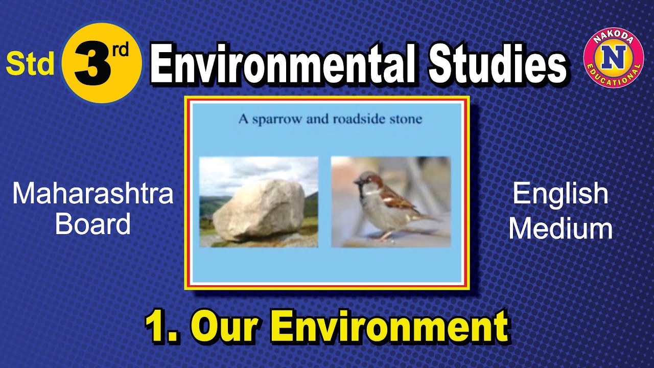 Std 3rd | Environmental Studies - 01 Our Environment | English Medium ...