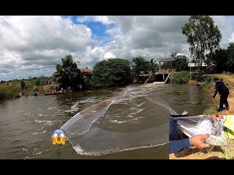 Unbelievable cast net fishing against the lake strong current!! - YouTube