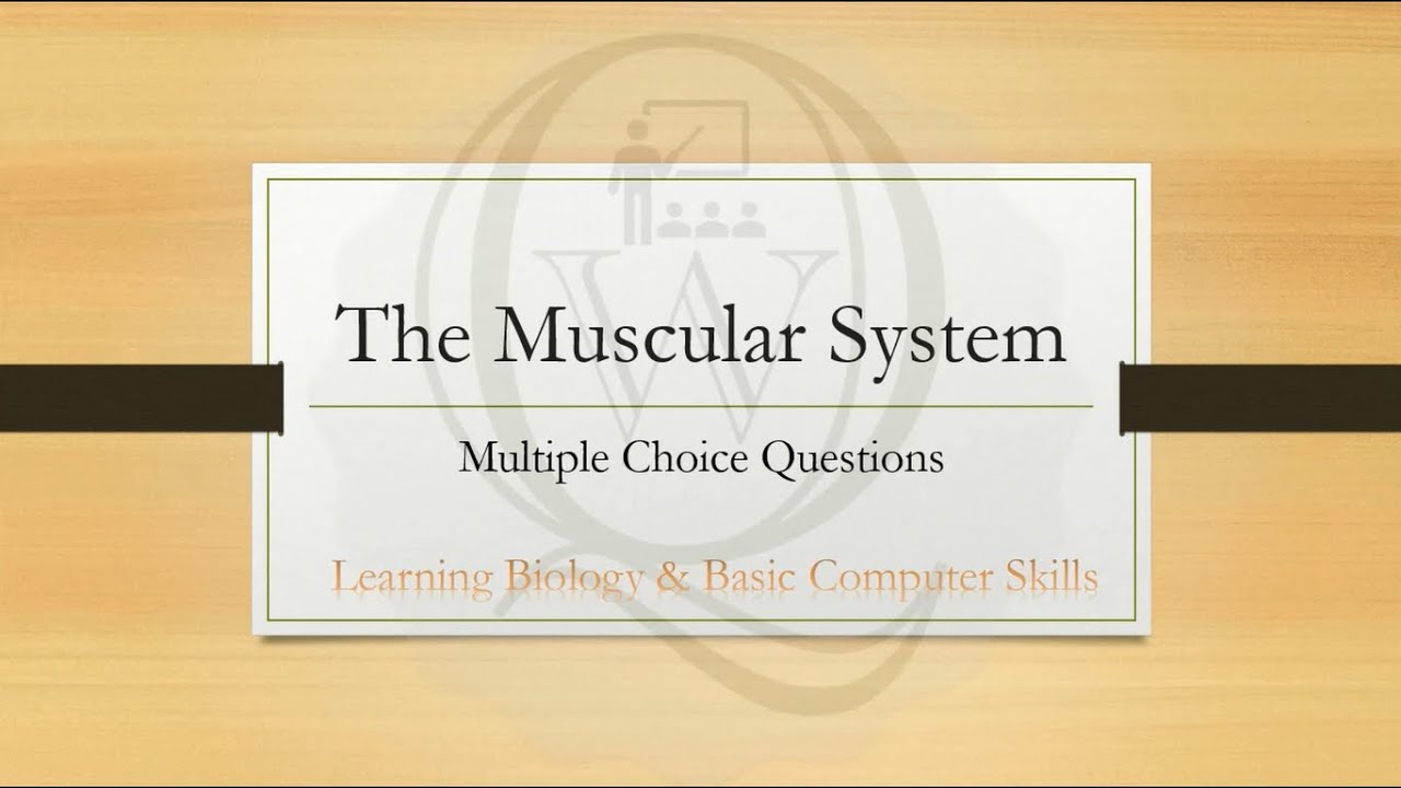 Muscular System Multiple Choice Questions Solved YouTube muscular-system-multiple-choice-questions-solved-youtube