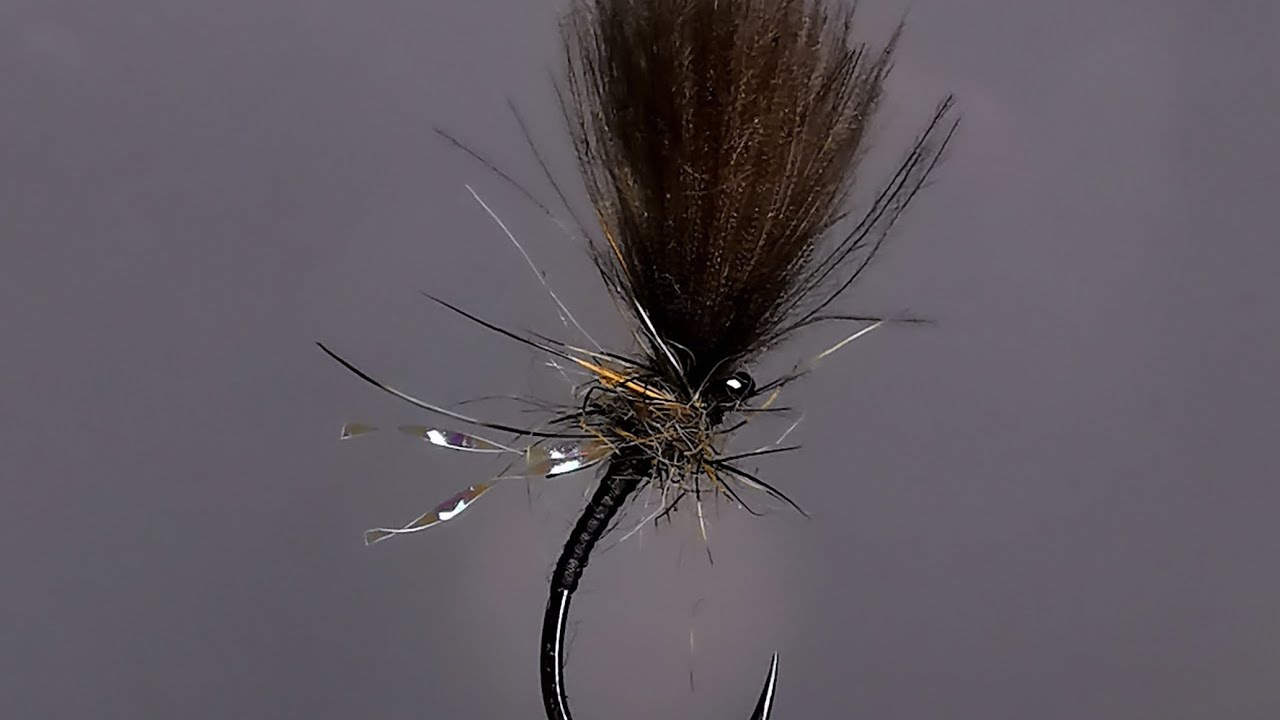 Black CDC emerger - YouTube