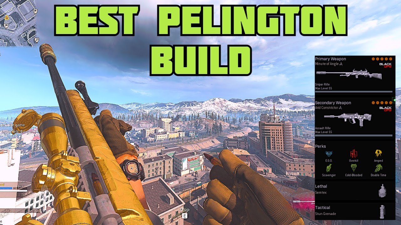 UPDATED BEST PELINGTON BUILD FOR WARZONE - YouTube