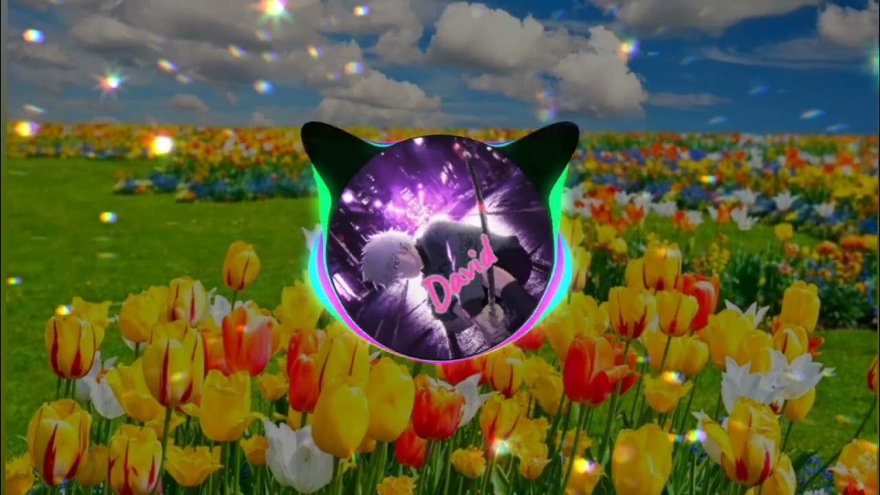 Андрей Губин Девушки как звезды Remix Youtube