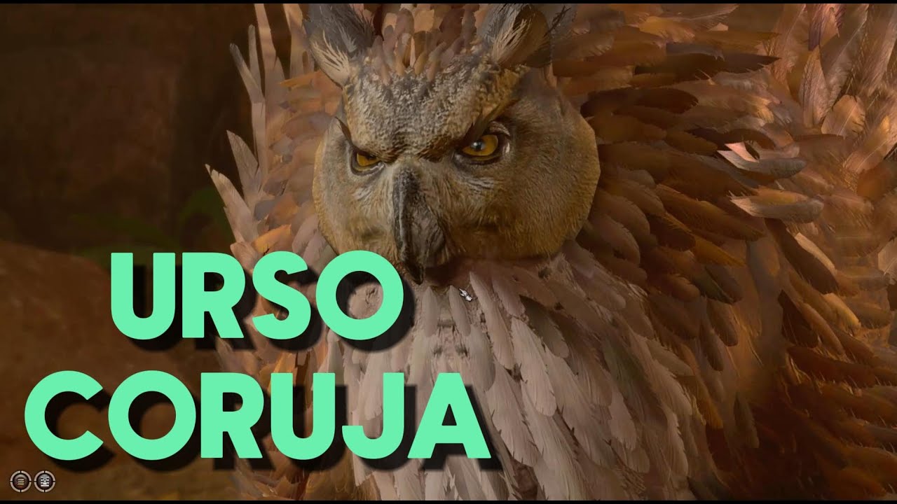 Baldur's Gate 3 - Kagui 05 - Urso Coruja - YouTube