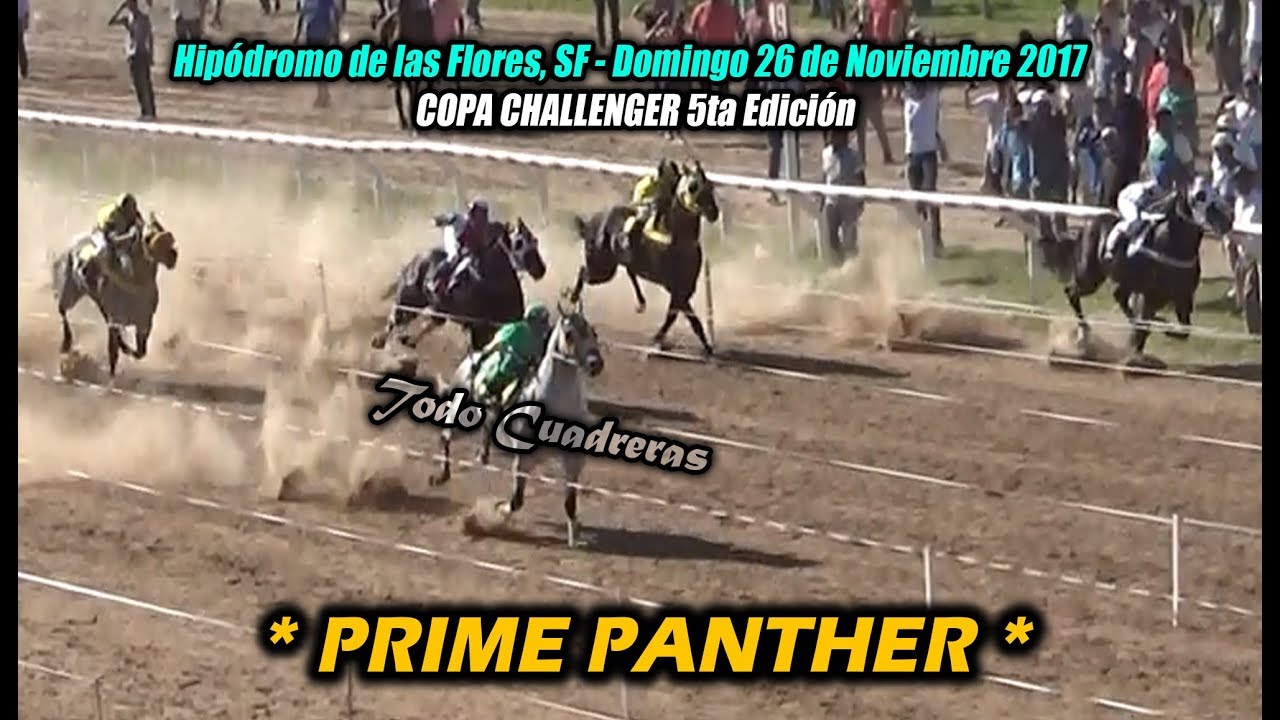 * PRIME PANTHER * CHALLENGER 2017 (Nuevo Video...!!!) - YouTube