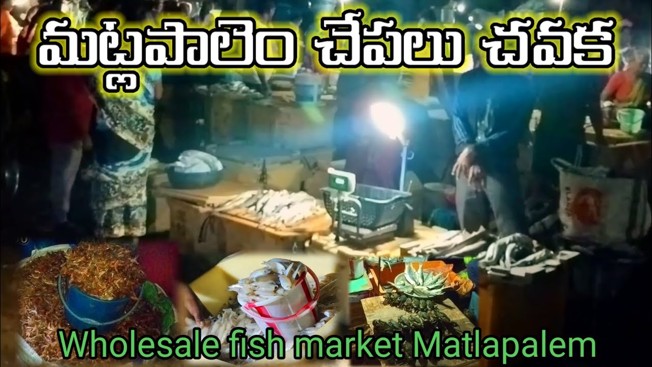 Matlapalem fish market, matlapalem dry fish market, matlapalem fish ...