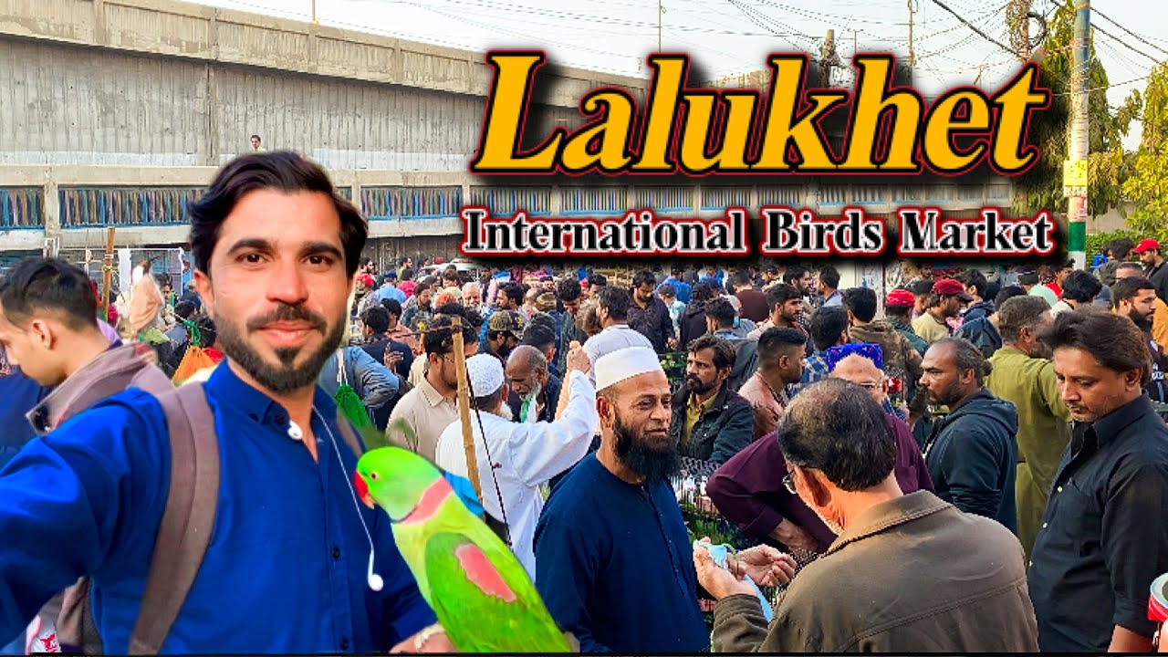 Lalukhet Birds Market | Unique Birds Market in Pakistan #vlog - YouTube