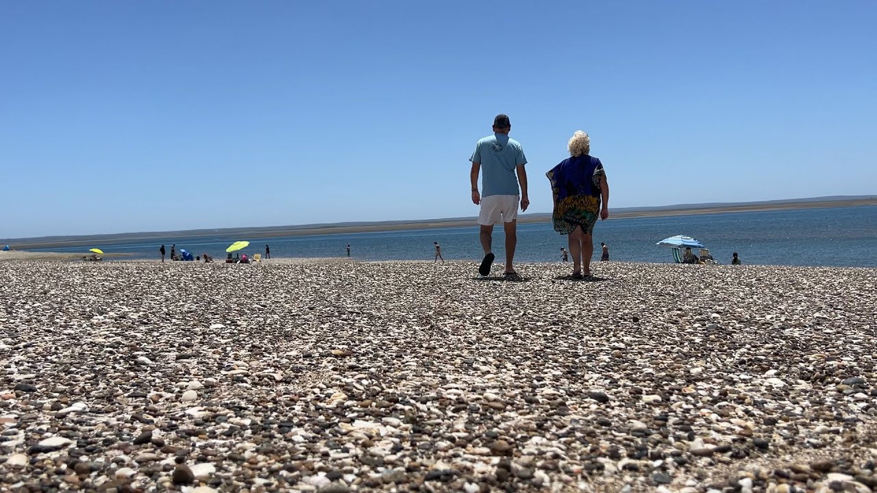 PLAYAS PATAGONICAS😲PUNTA PERDICES y PLAYA LAS CONCHILLAS 2025. Puerto ...