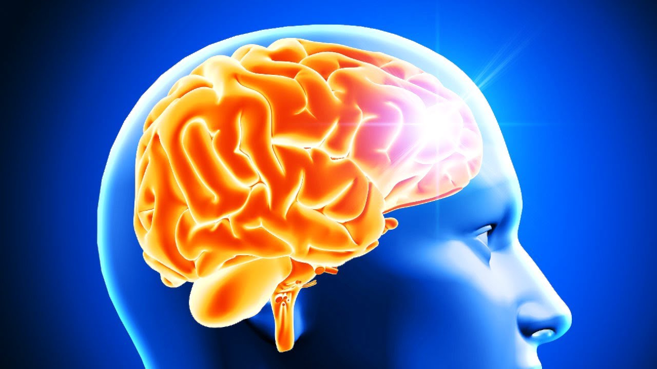 ACCELERATED LEARNING | Omega Frequencies | Intelligence And Focus ...