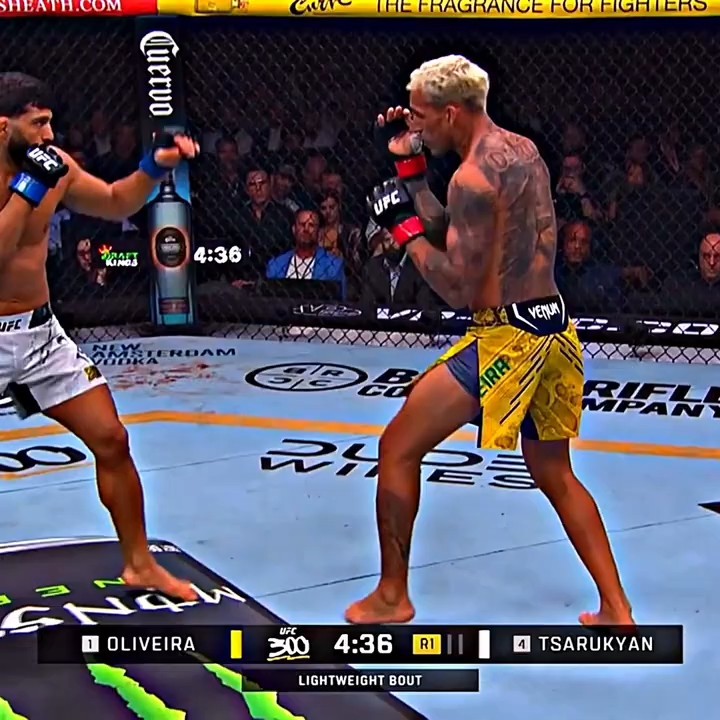 Charles Do Bronx 🔥 #charlesoliveira #brazil #mma #ufc #shorts #fyp ...