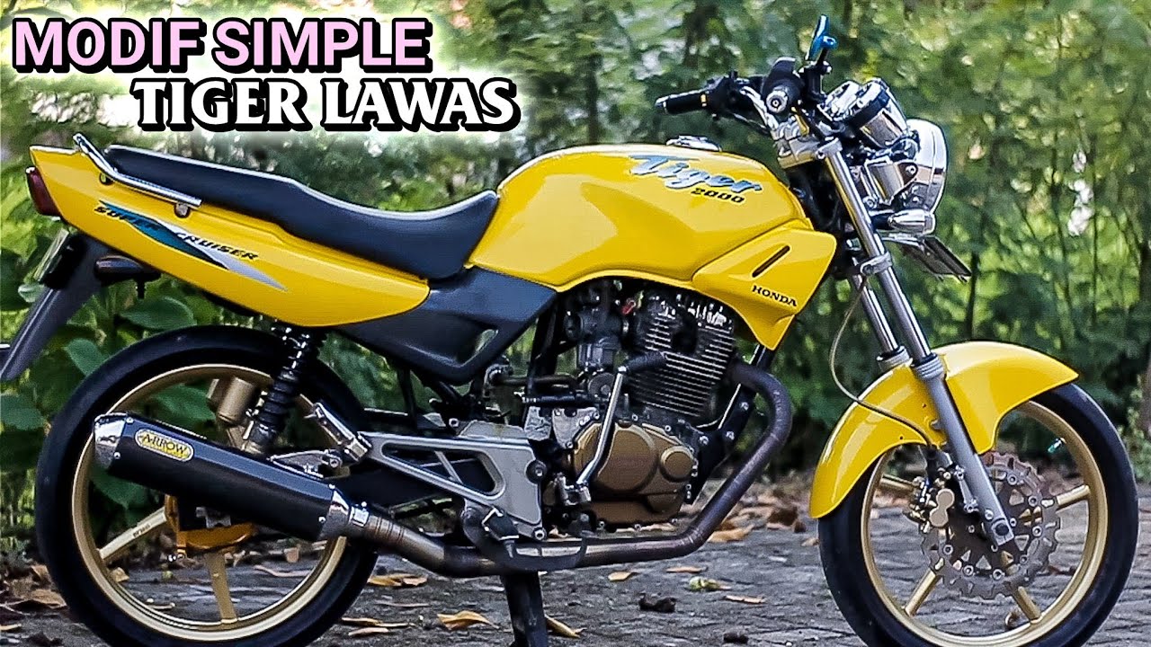 REVIEW TILAS ( TIGER LAWAS ) SIMPLE MINIMALIS - YouTube